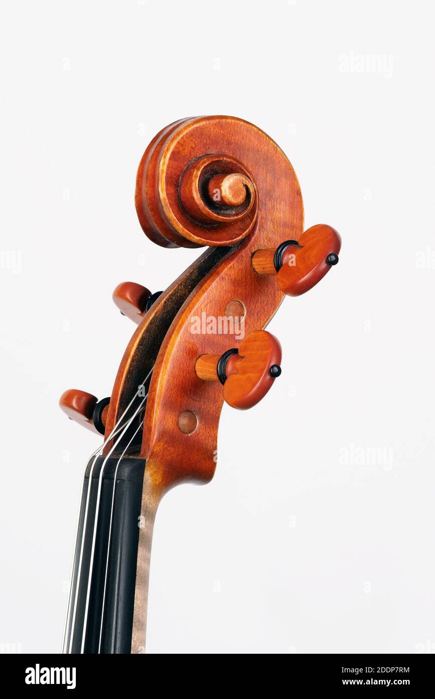 Contemporary wooden hand made violin iand details solated on white ...