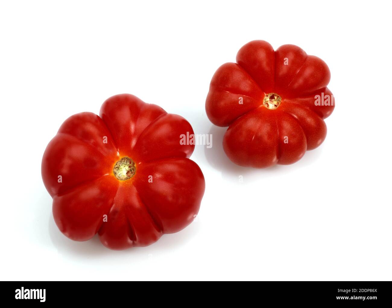 Tomatoes camone hi-res stock photography and images - Alamy