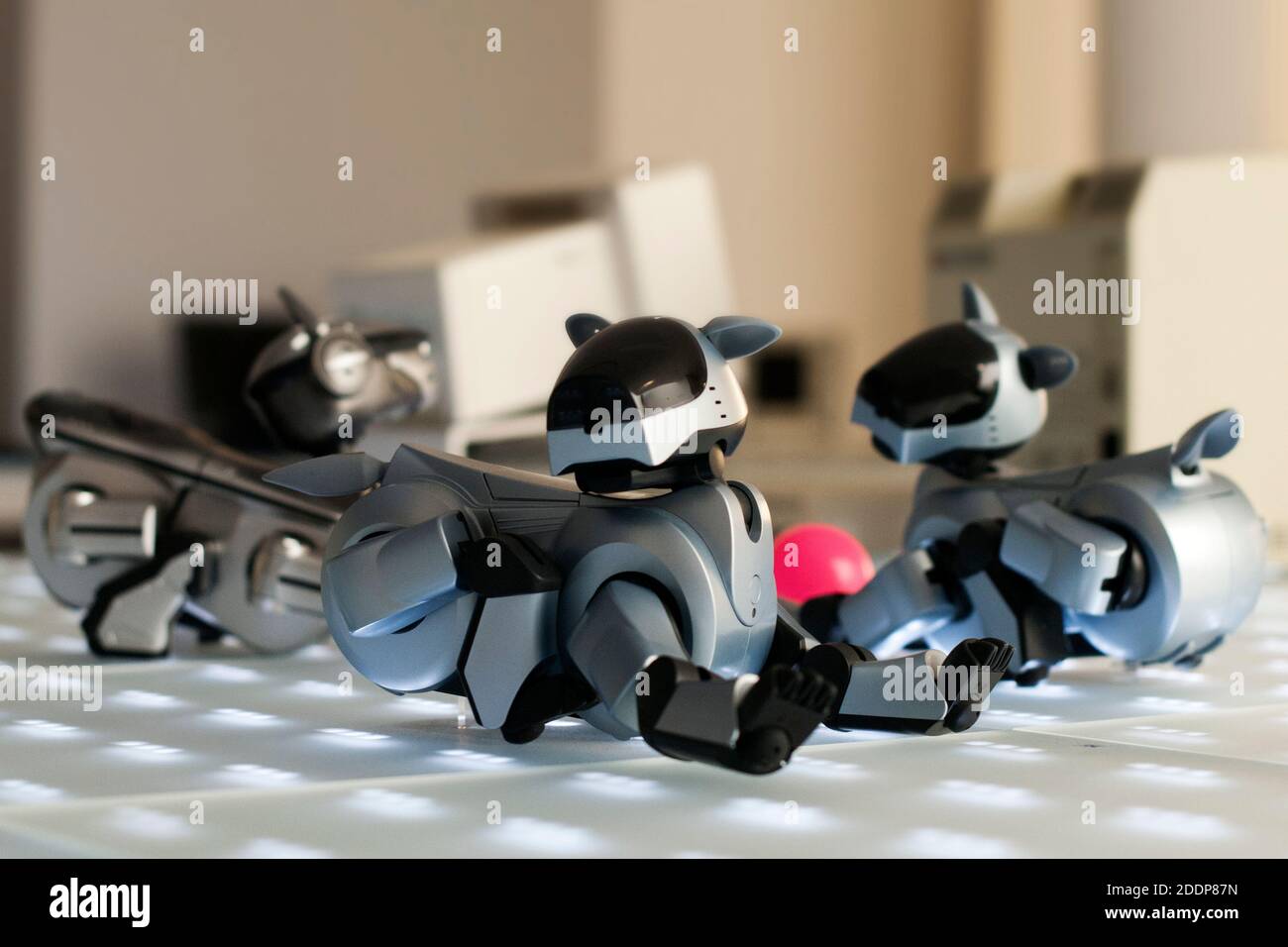 Modern art in Pinakothek der Moderne, Munich Stock Photo - Alamy