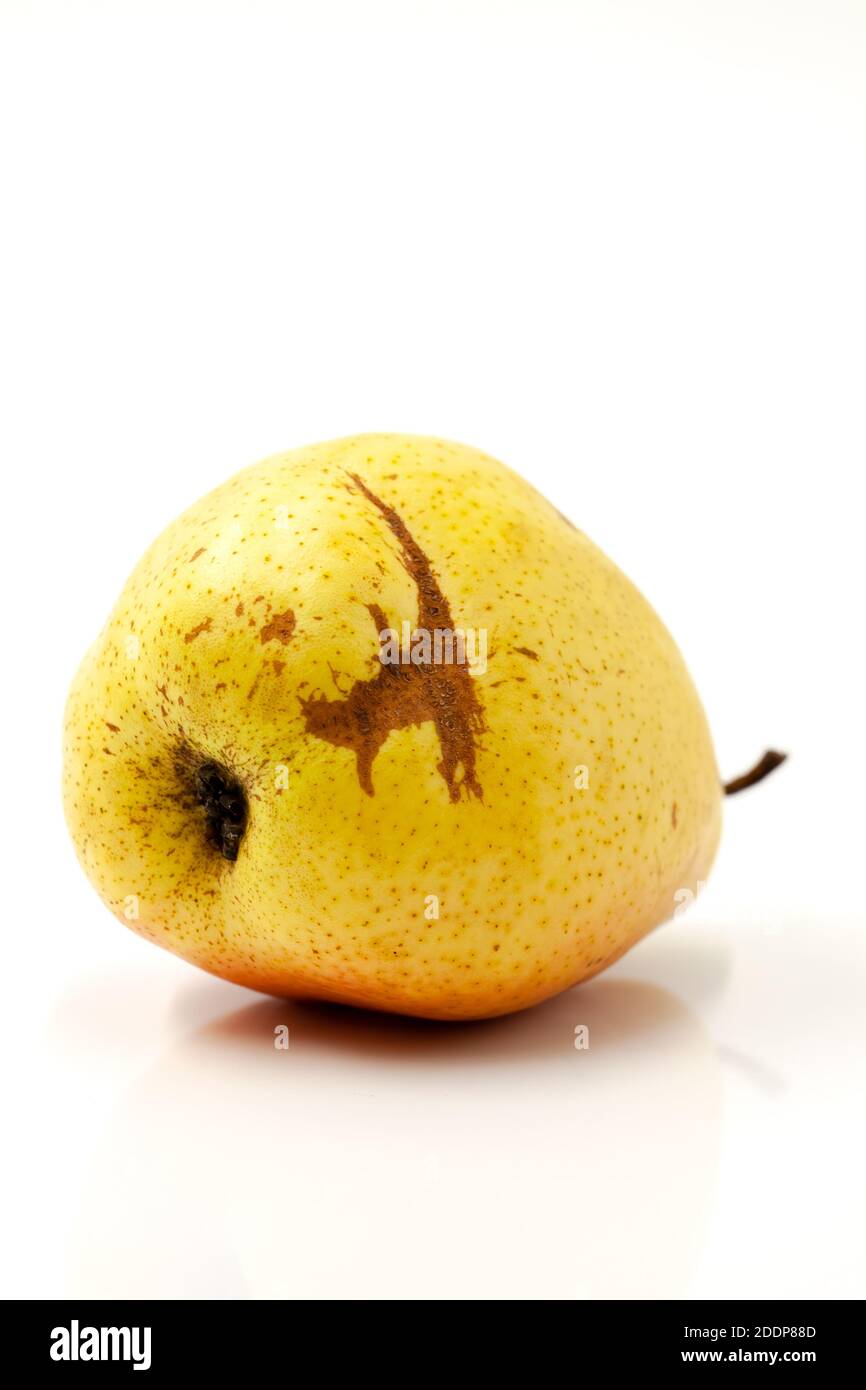 Fruit fresh pear imperfect hi-res stock photography and images - Alamy