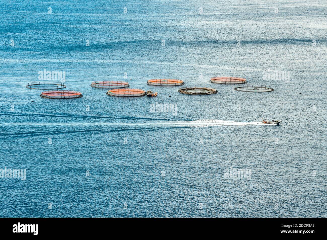Drone view tuna farm rings hi-res stock photography and images - Alamy