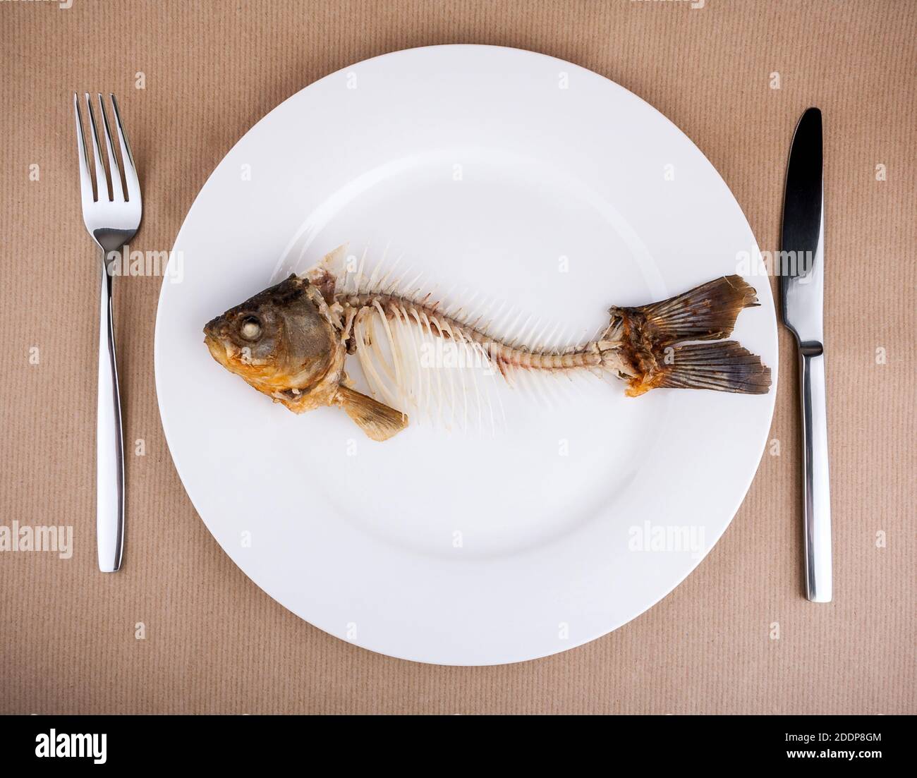 Complete bone of whole fish on plate, abstract, top view Stock Photo ...