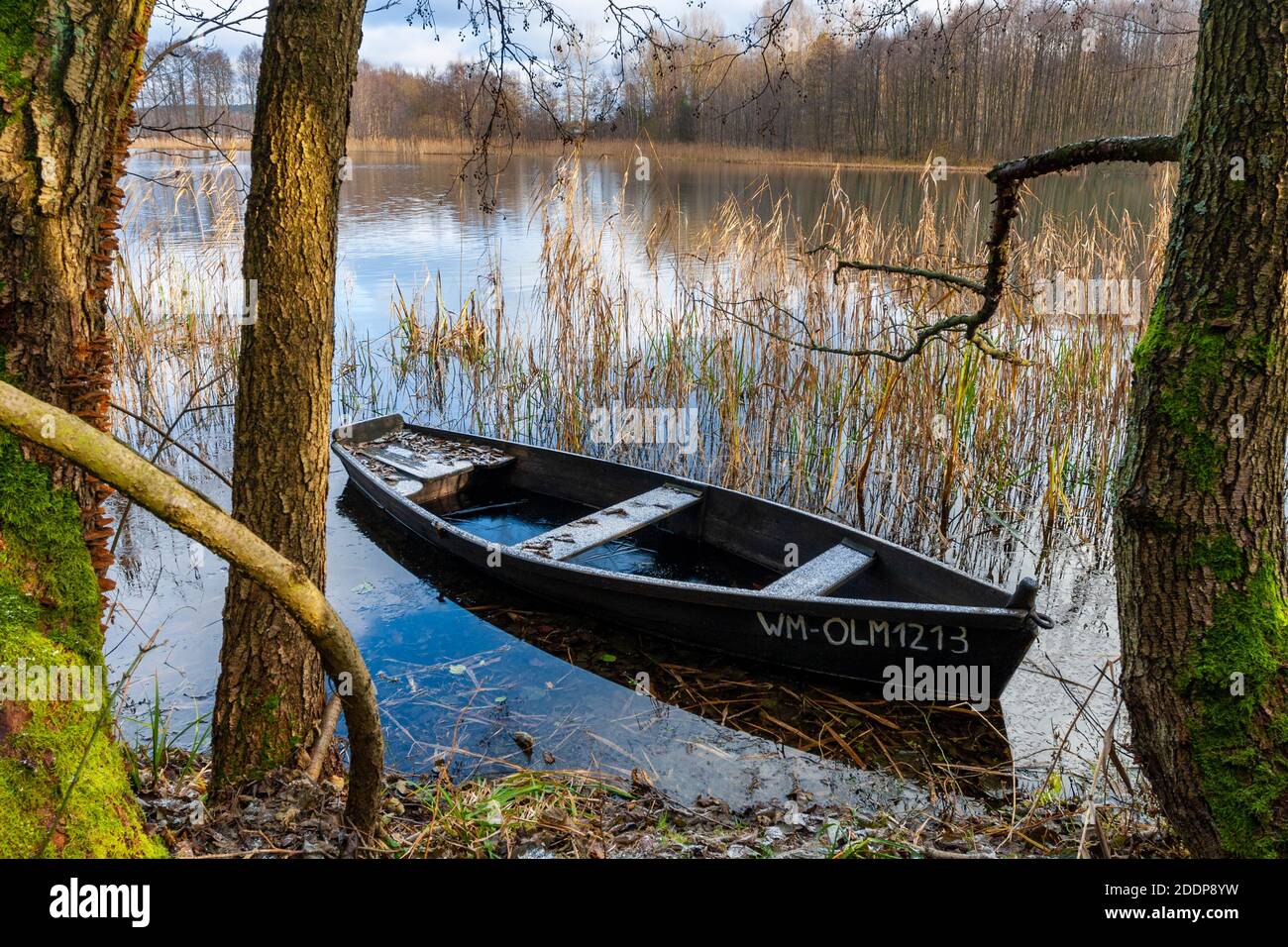 Masuria and poland and lake and pine hi-res stock photography and ...