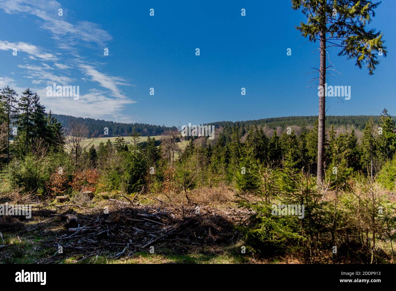 Hiking in different places through the Thuringian Forest - Thüringer ...