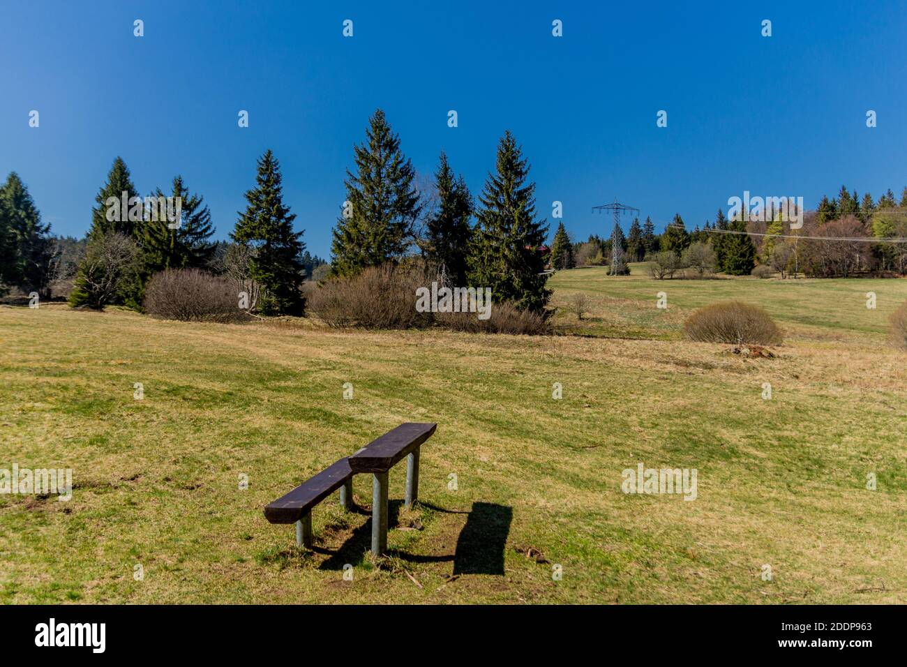 Hiking in different places through the Thuringian Forest - Thüringer ...