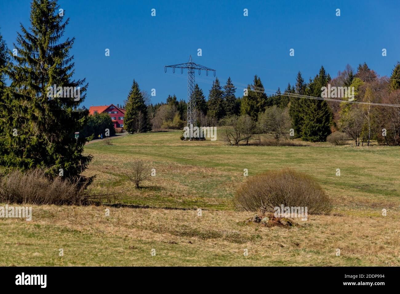 Hiking in different places through the Thuringian Forest - Thüringer ...