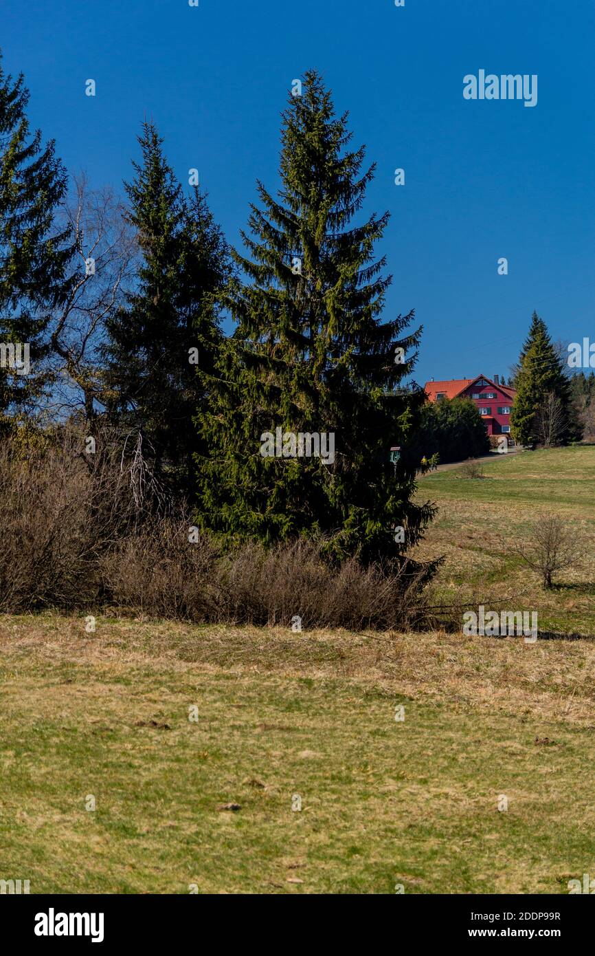 Hiking in different places through the Thuringian Forest - Thüringer ...