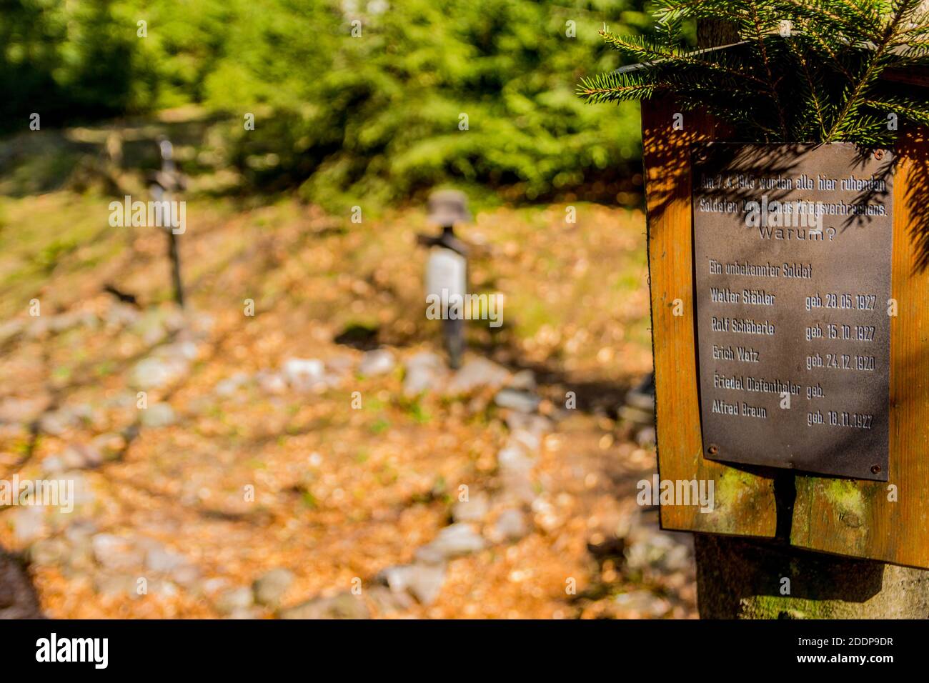 Hiking in different places through the Thuringian Forest - Thüringer ...