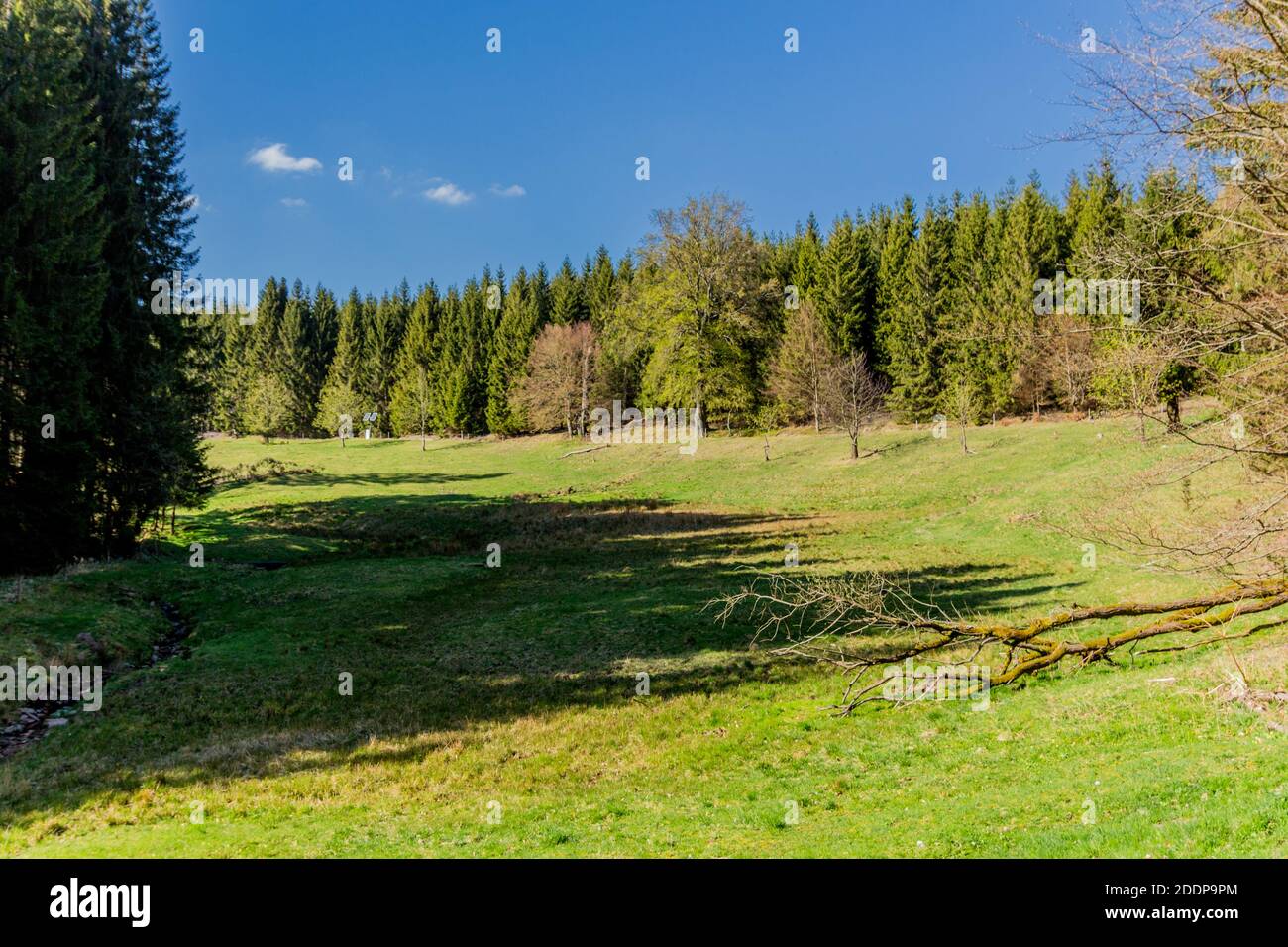 Hiking in different places through the Thuringian Forest - Thüringer ...