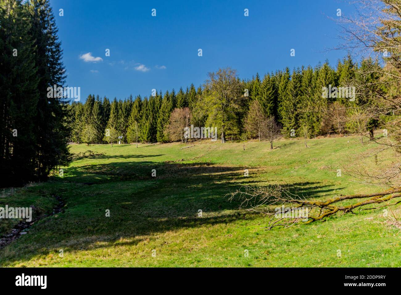 Hiking in different places through the Thuringian Forest - Thüringer ...