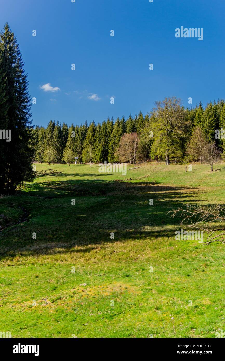 Hiking in different places through the Thuringian Forest - Thüringer ...
