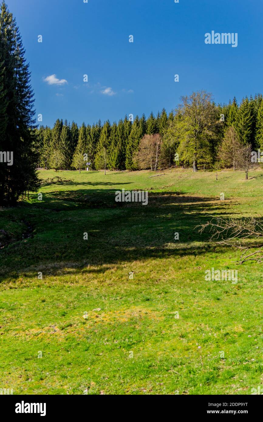 Hiking in different places through the Thuringian Forest - Thüringer ...