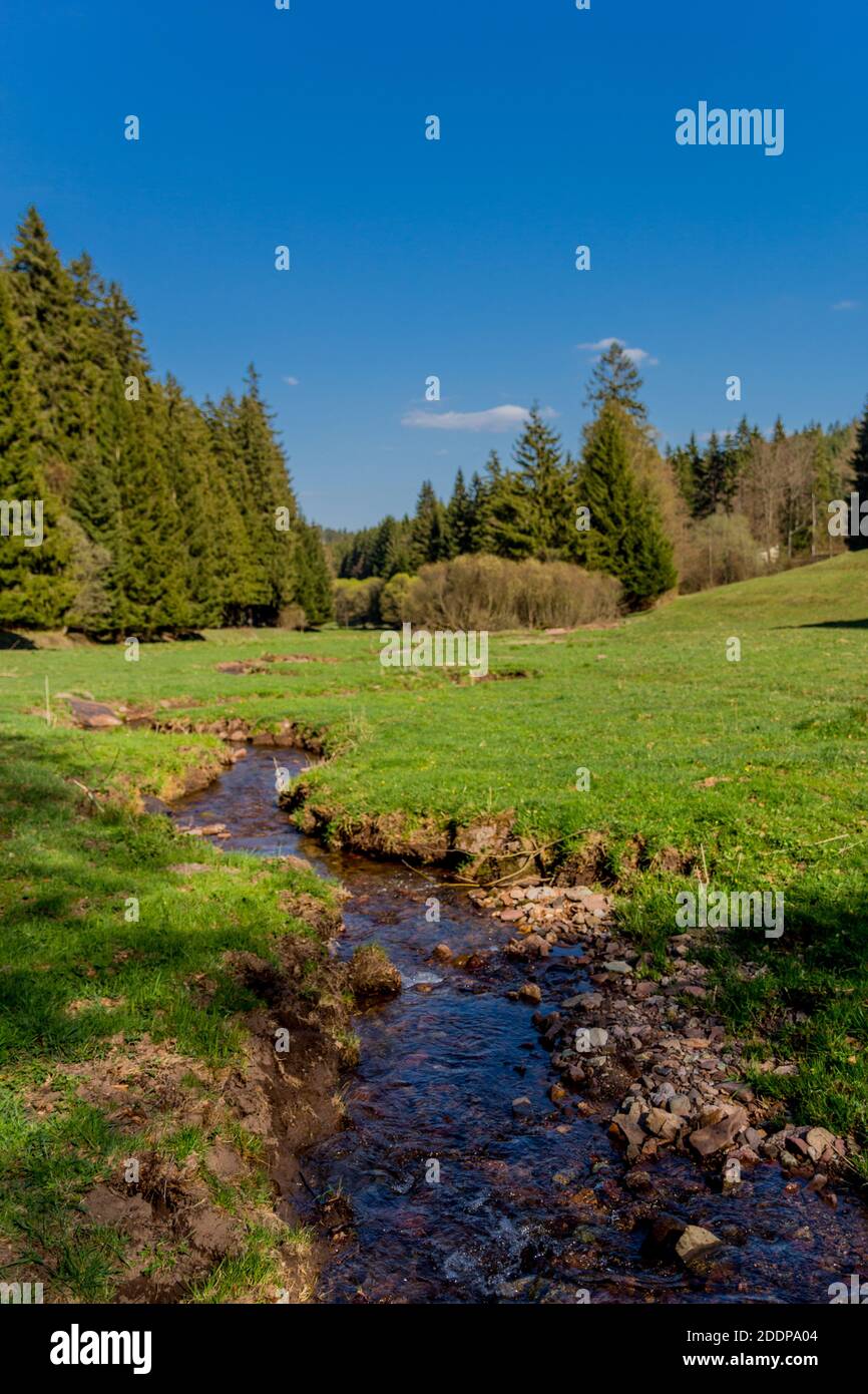 Hiking in different places through the Thuringian Forest - Thüringer ...