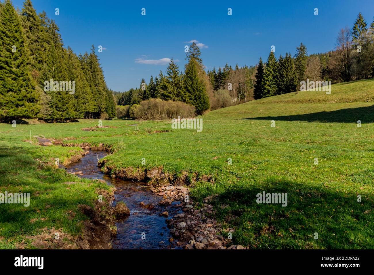 Hiking in different places through the Thuringian Forest - Thüringer ...