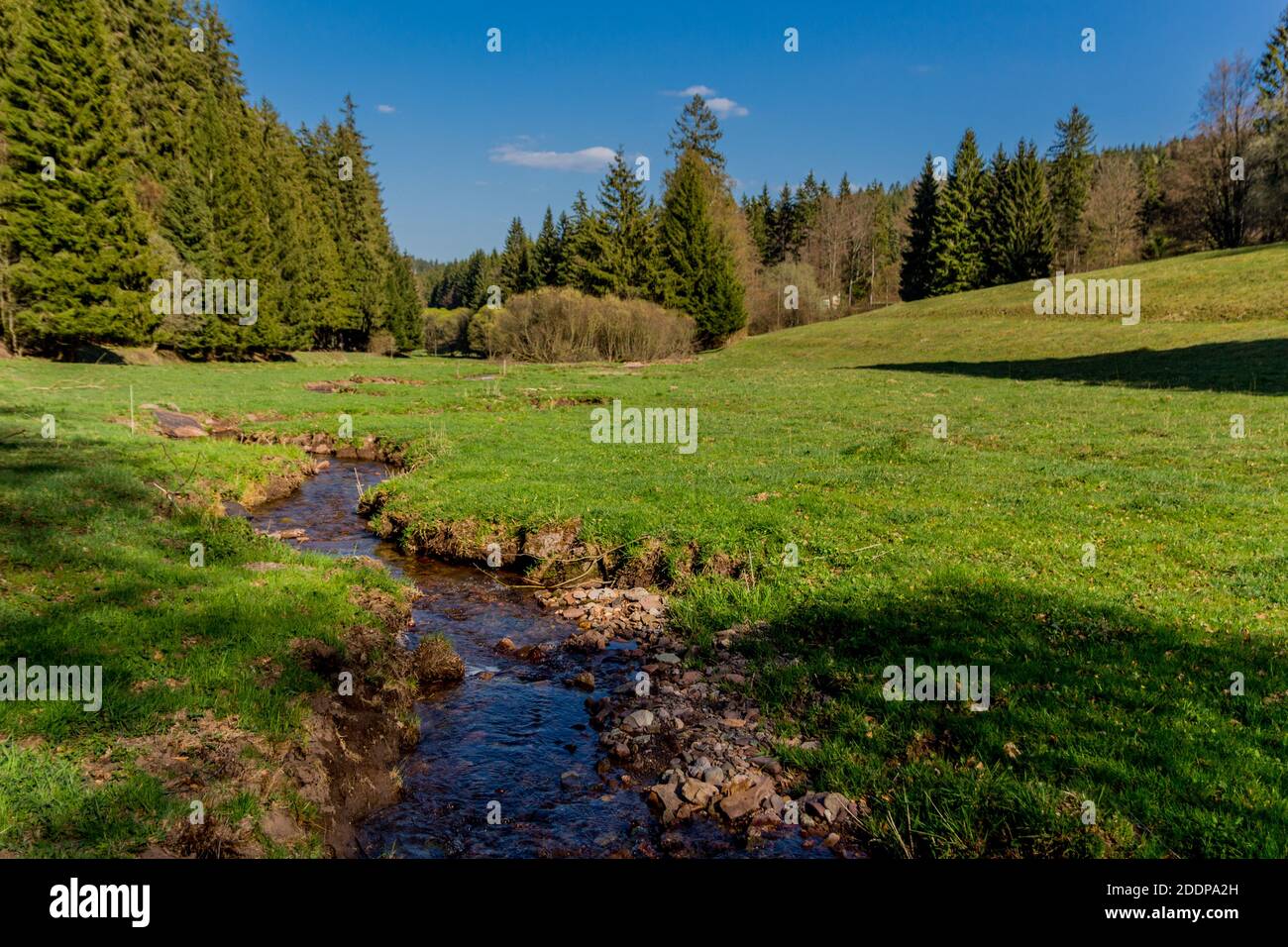 Hiking in different places through the Thuringian Forest - Thüringer ...