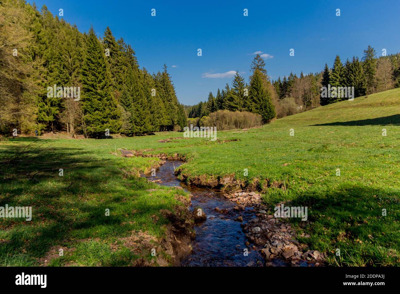 Hiking in different places through the Thuringian Forest - Thüringer ...