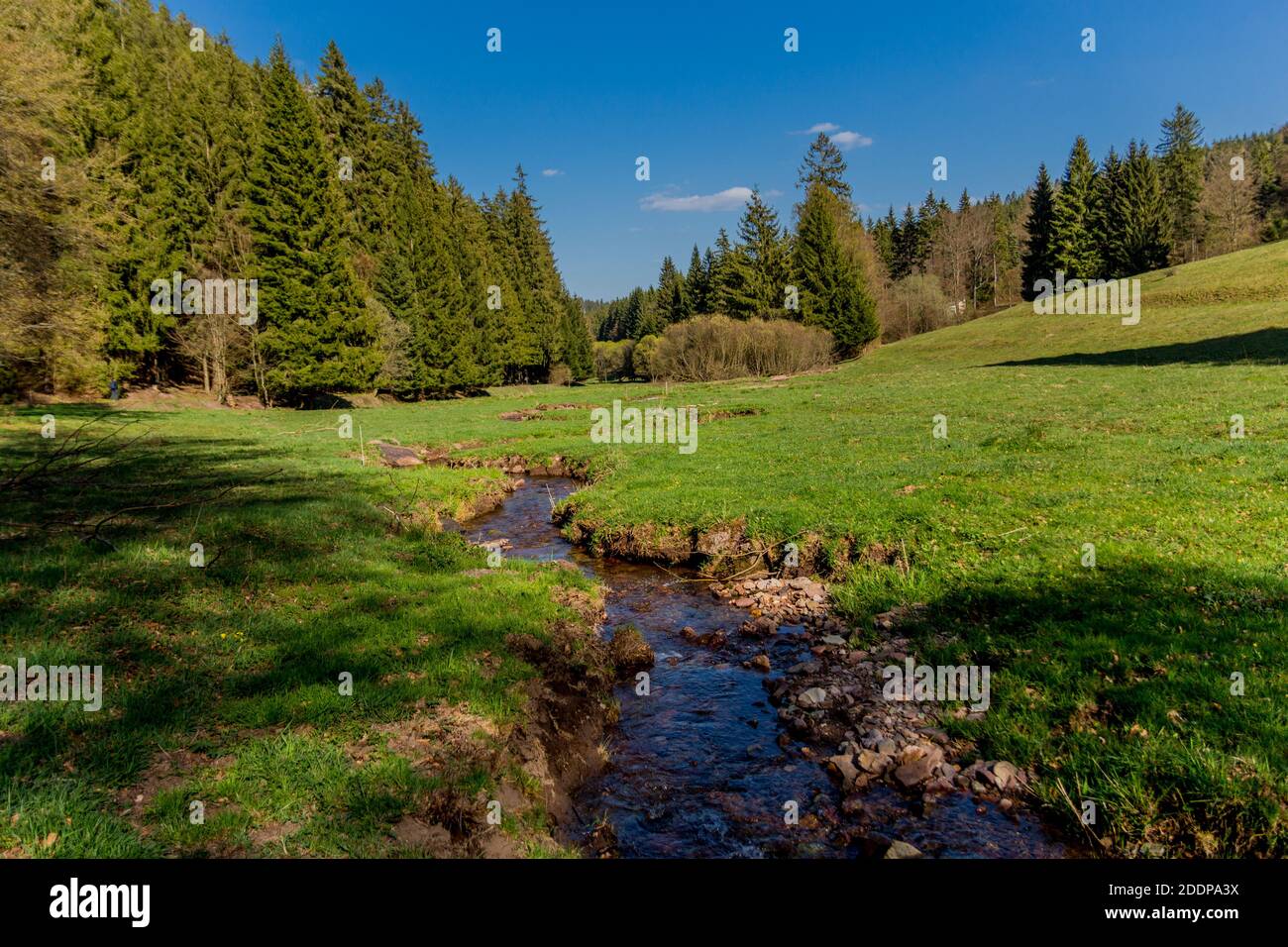 Hiking in different places through the Thuringian Forest - Thüringer ...