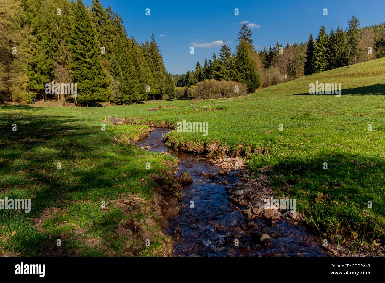 Hiking in different places through the Thuringian Forest - Thüringer ...