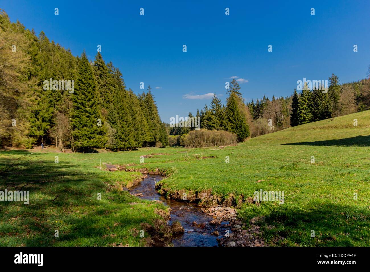 Hiking in different places through the Thuringian Forest - Thüringer ...