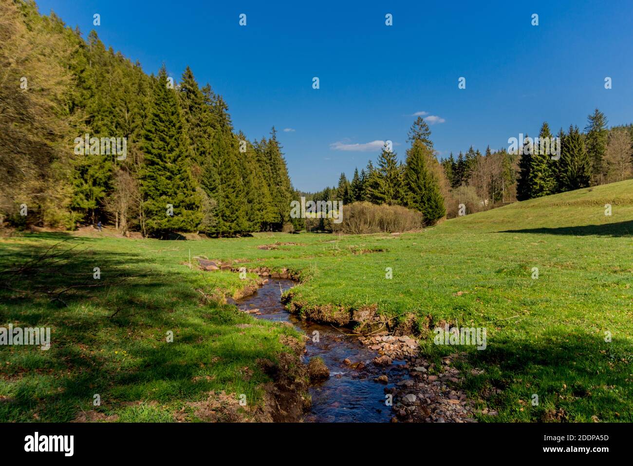 Hiking in different places through the Thuringian Forest - Thüringer ...