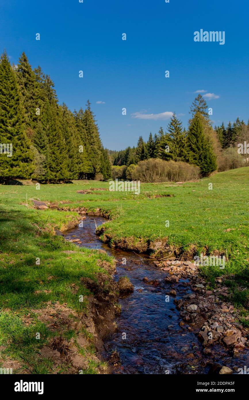 Hiking in different places through the Thuringian Forest - Thüringer ...