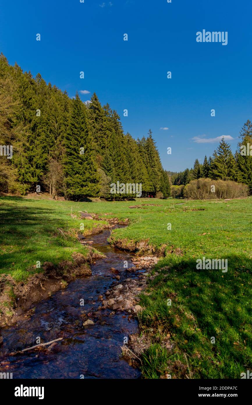 Hiking in different places through the Thuringian Forest - Thüringer ...