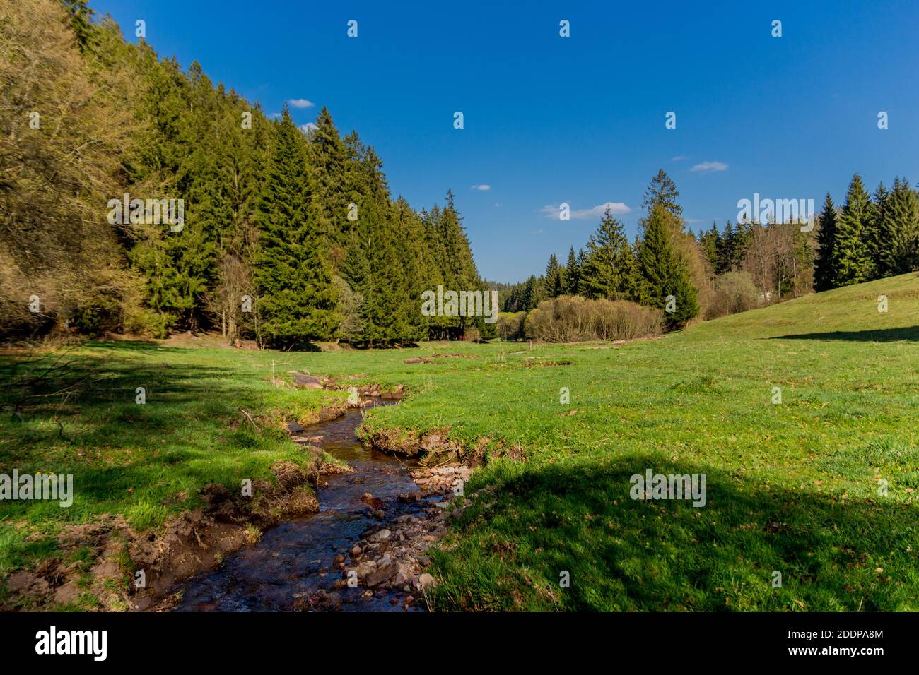 Hiking in different places through the Thuringian Forest - Thüringer ...