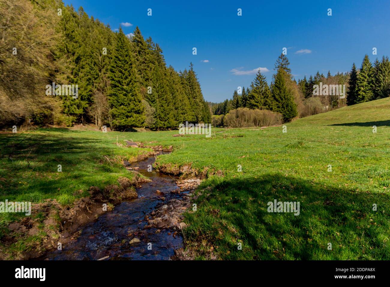 Hiking in different places through the Thuringian Forest - Thüringer ...