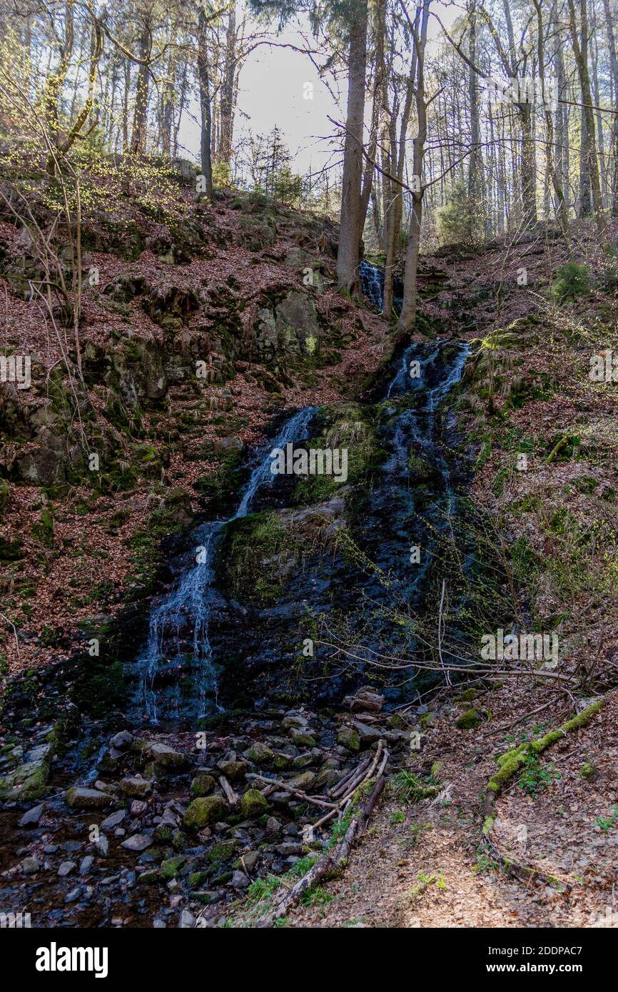 Hiking in different places through the Thuringian Forest - Thüringer ...