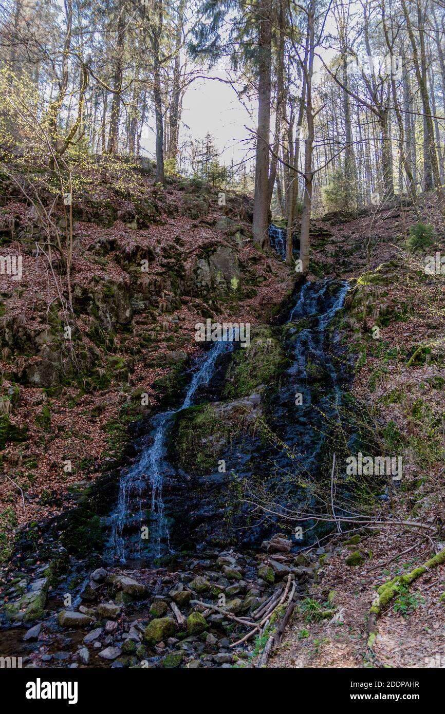 Hiking in different places through the Thuringian Forest - Thüringer ...