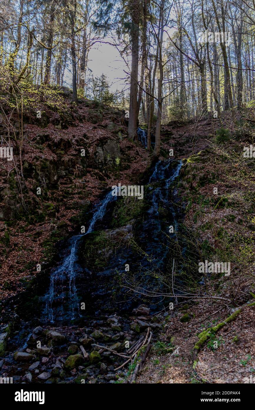 Hiking in different places through the Thuringian Forest - Thüringer ...