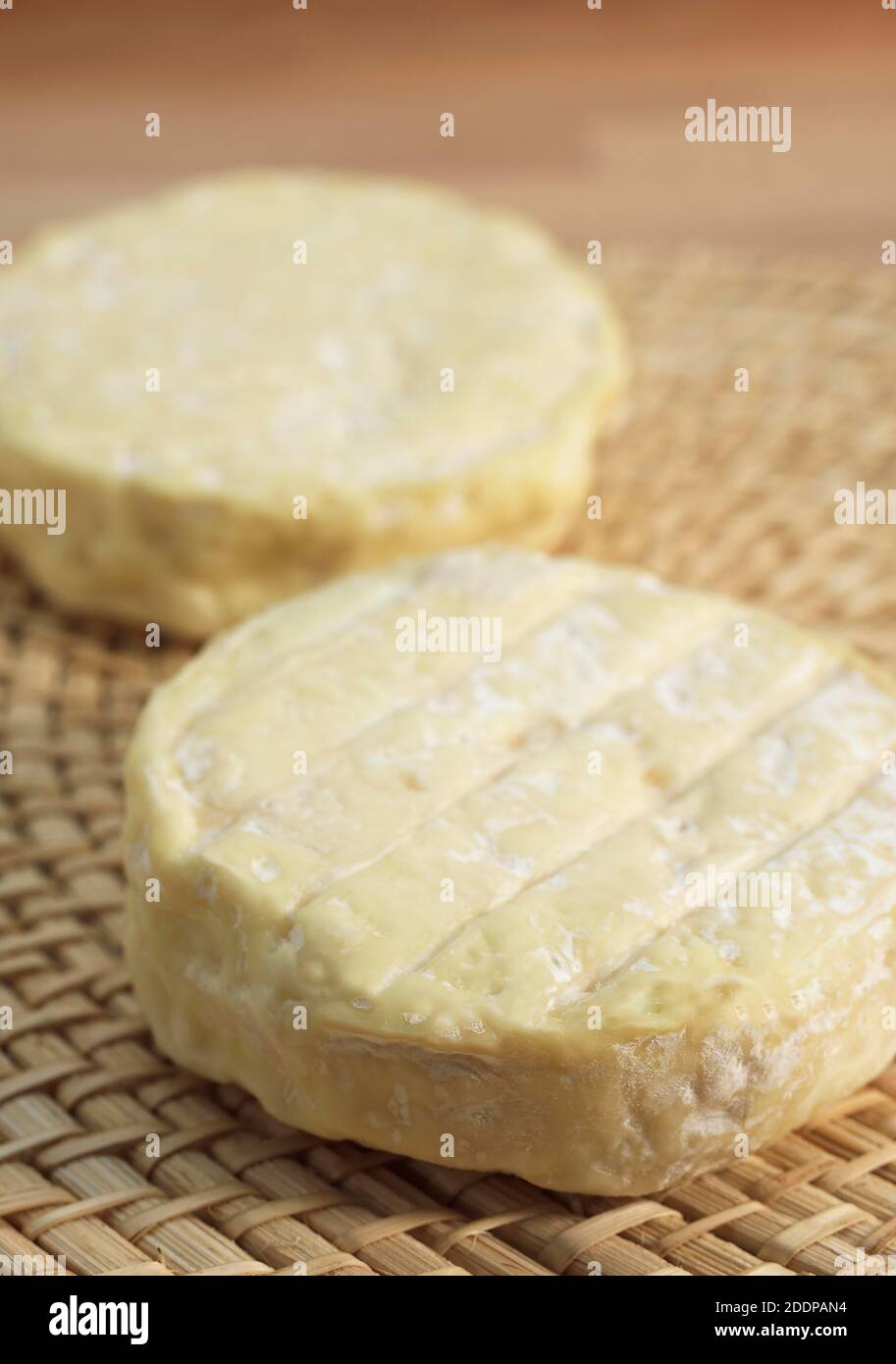 French Cheese called Saint Marcellin produced from Cow's Milk Stock ...