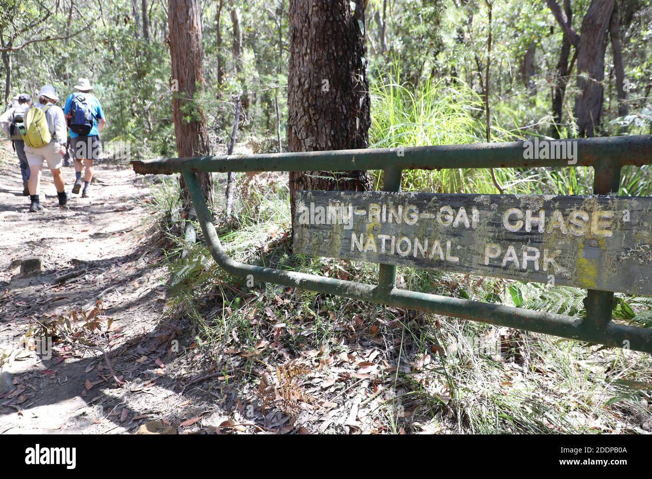 Ku-ring-gai Chase National Park, Sydney, Australia Stock Photo - Alamy