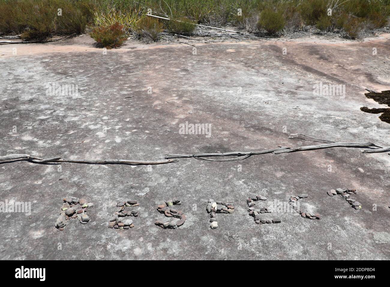 Aboriginal rock engravings in Ku-ring-gai Chase National Park, Sydney ...