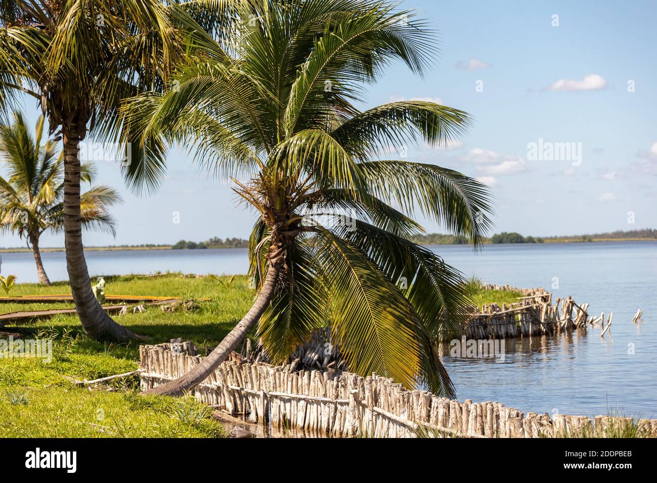 Zapata hi-res stock photography and images - Alamy