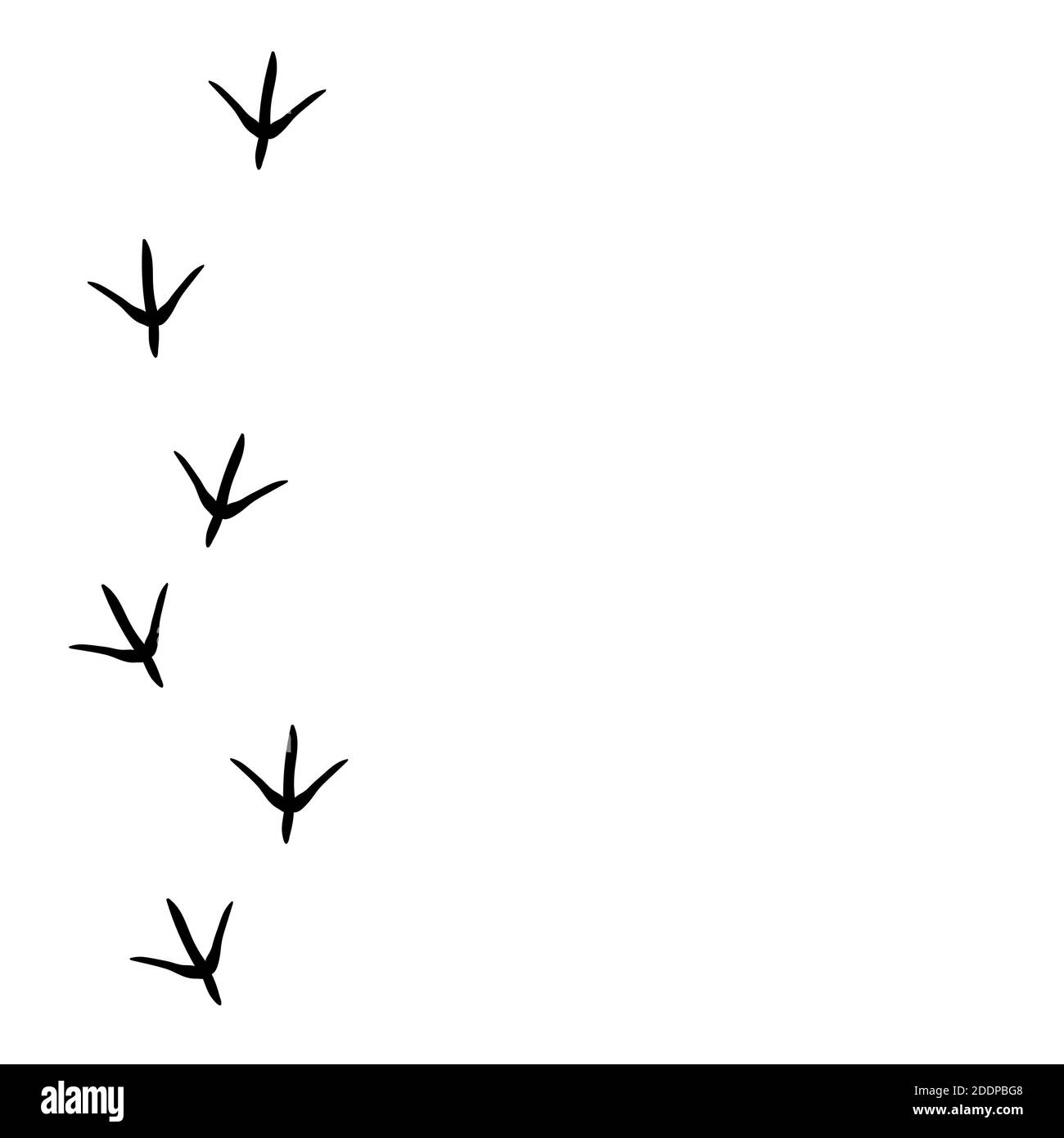 Bird Footprint Clipart