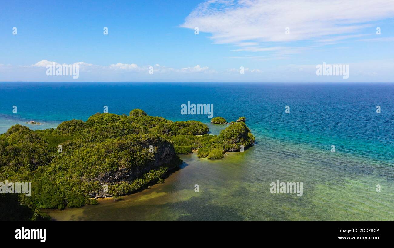 Tropical seascape: Island with tropical forest and blue sea. Bohol ...