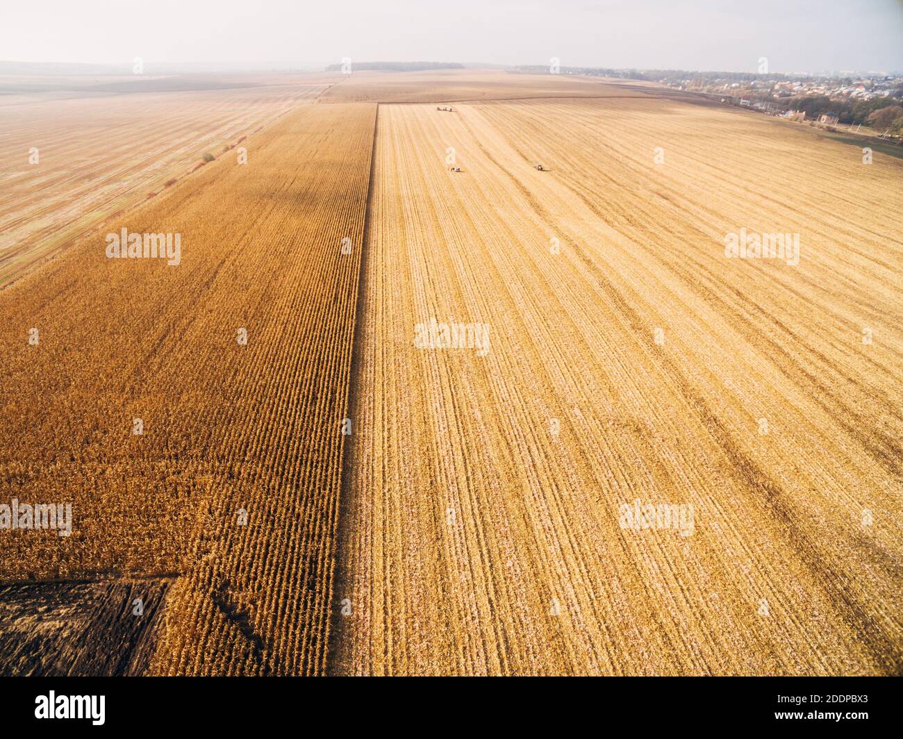 Harvesting field corn hi-res stock photography and images - Alamy