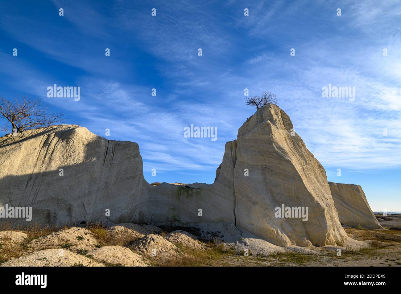 Limestone rock with tree on the top at limestone quarry Stock Photo - Alamy