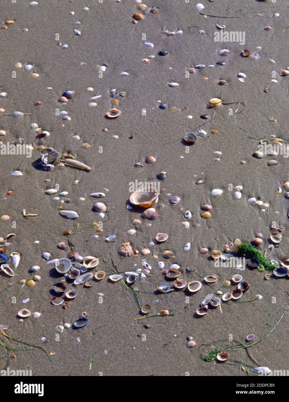 Punta afuera hi-res stock photography and images - Alamy