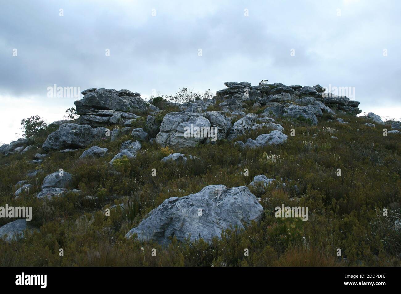 Silver mine hi-res stock photography and images - Alamy