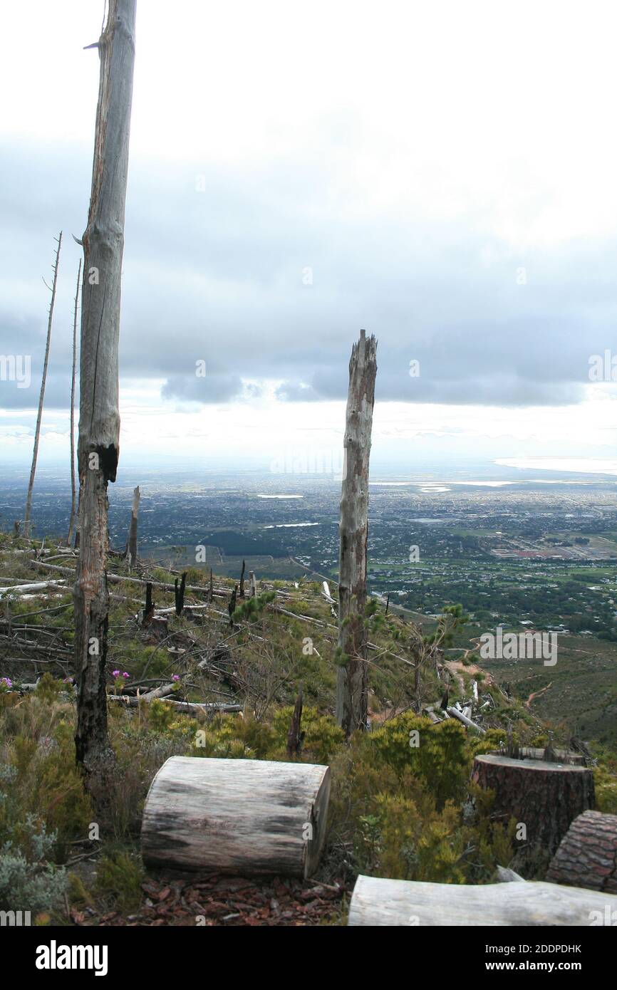 Silver Mine, Elephant's Eye mountain landscape hike overcast day Stock ...