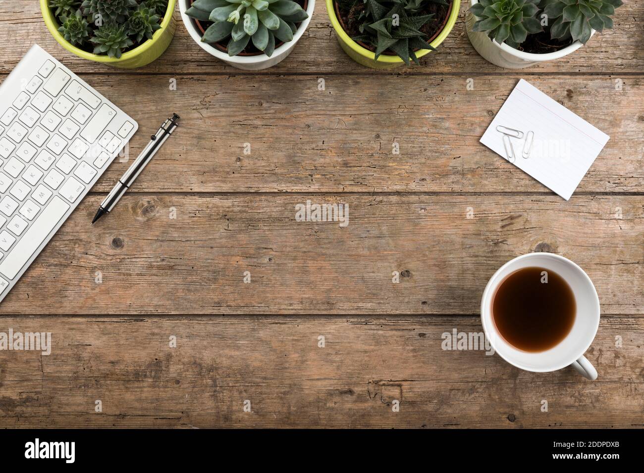 Rustic flat lay desk background with computer keyboard, succulent ...