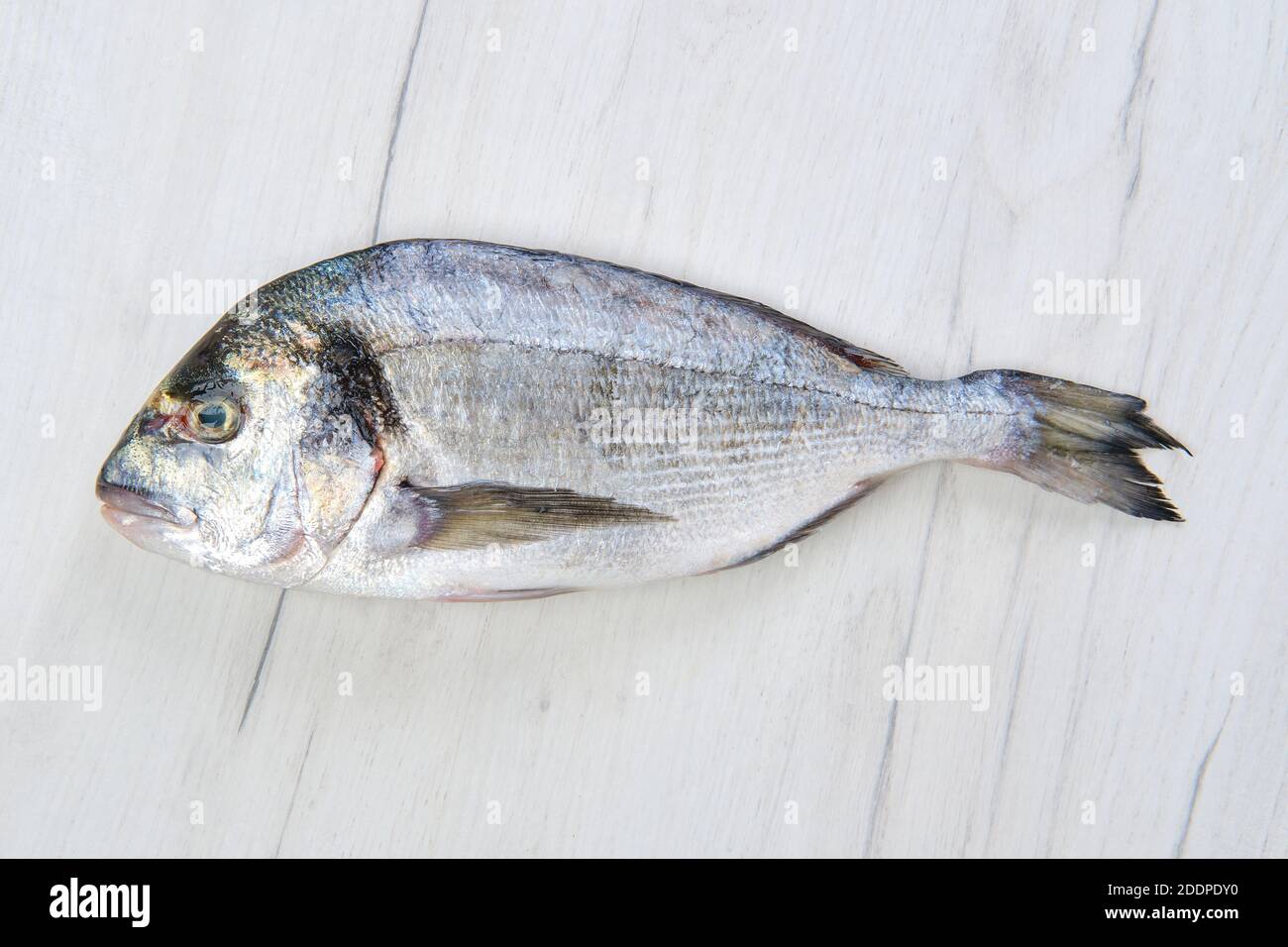 Dorada fish hi-res stock photography and images - Alamy