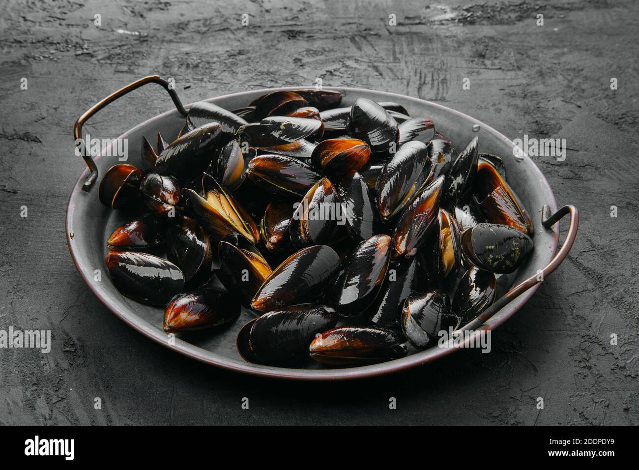 Whole shell hi-res stock photography and images - Alamy