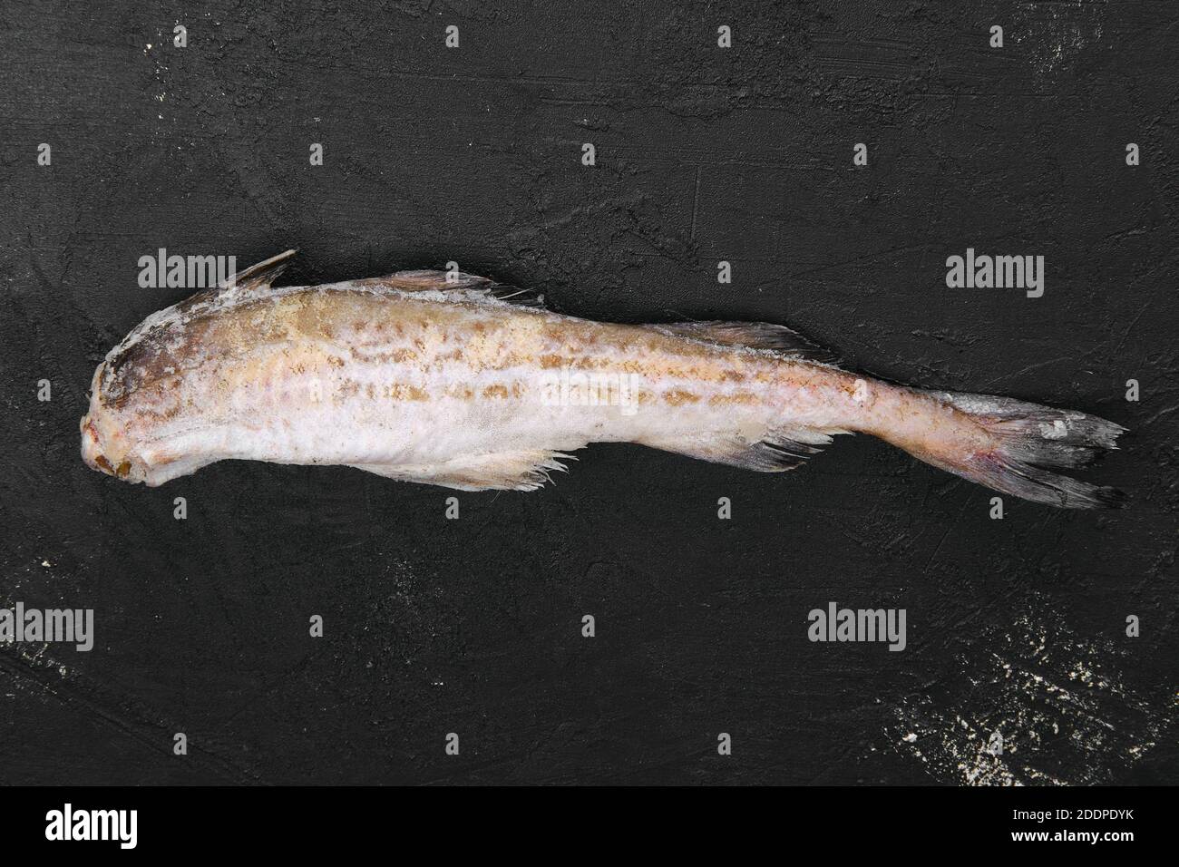 Raw pollock hake fish hi-res stock photography and images - Alamy