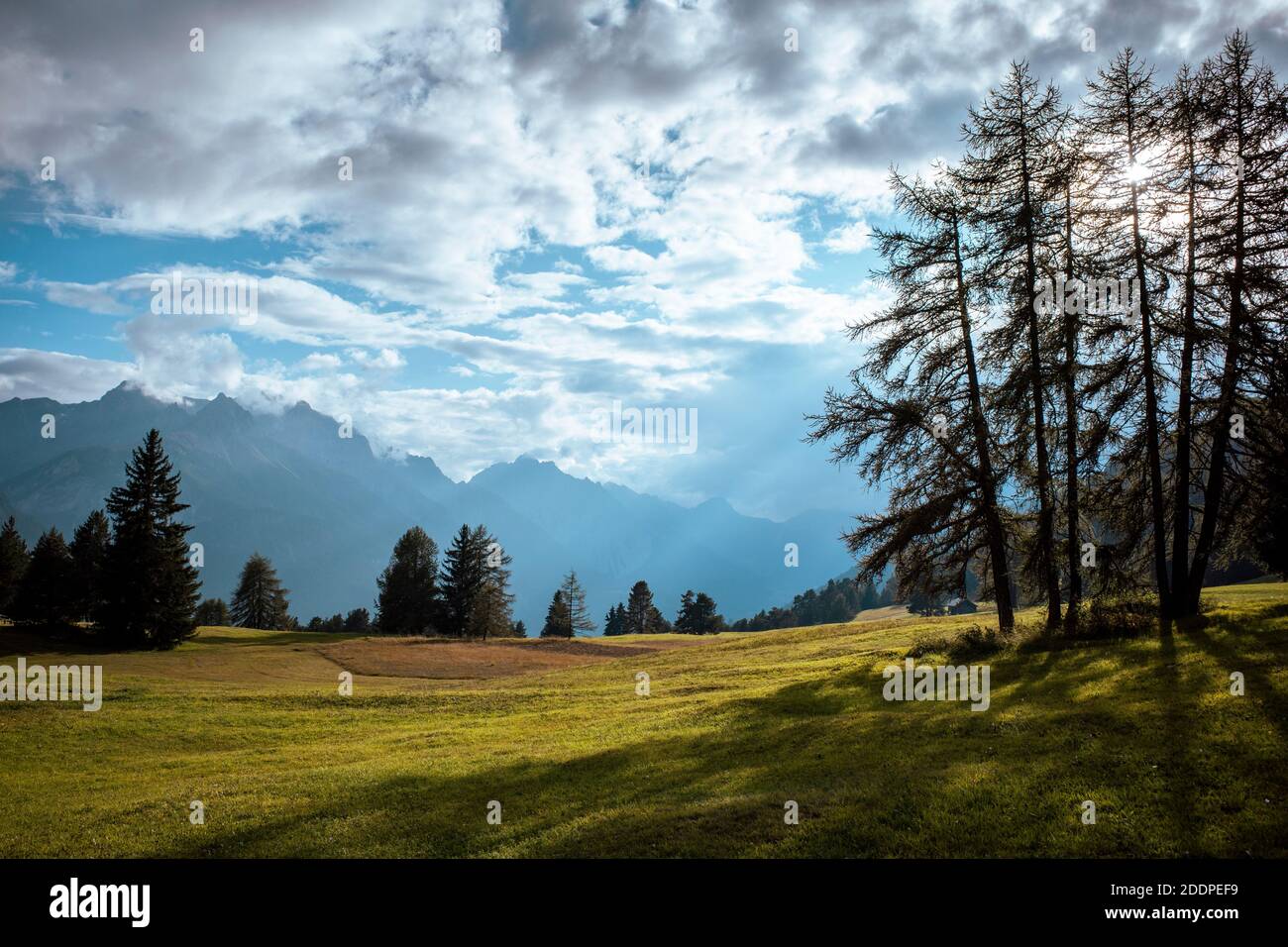 landscape with trees and mountains Stock Photo - Alamy