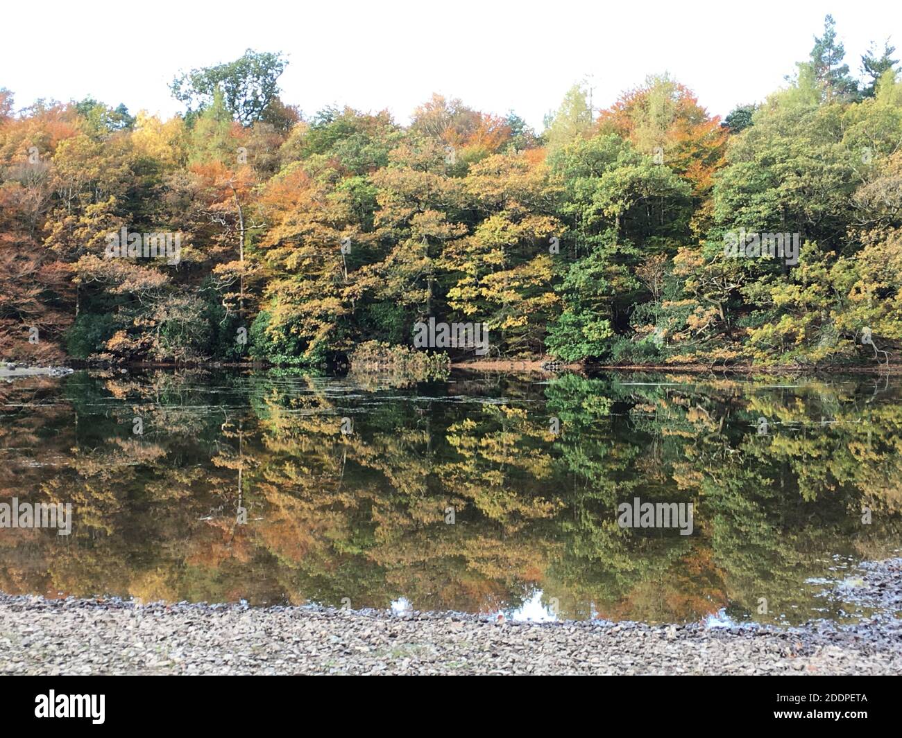 Autumn leaves reflection Stock Photo - Alamy