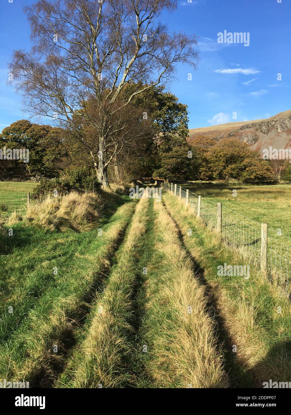 Rutted country walk Stock Photo - Alamy