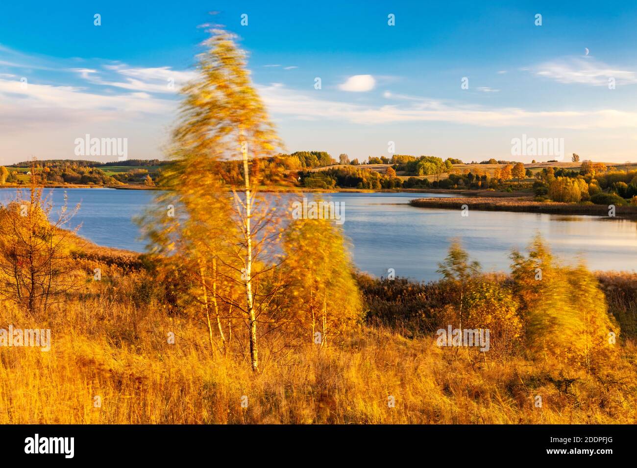 Masuria and poland and lake and pine hi-res stock photography and ...